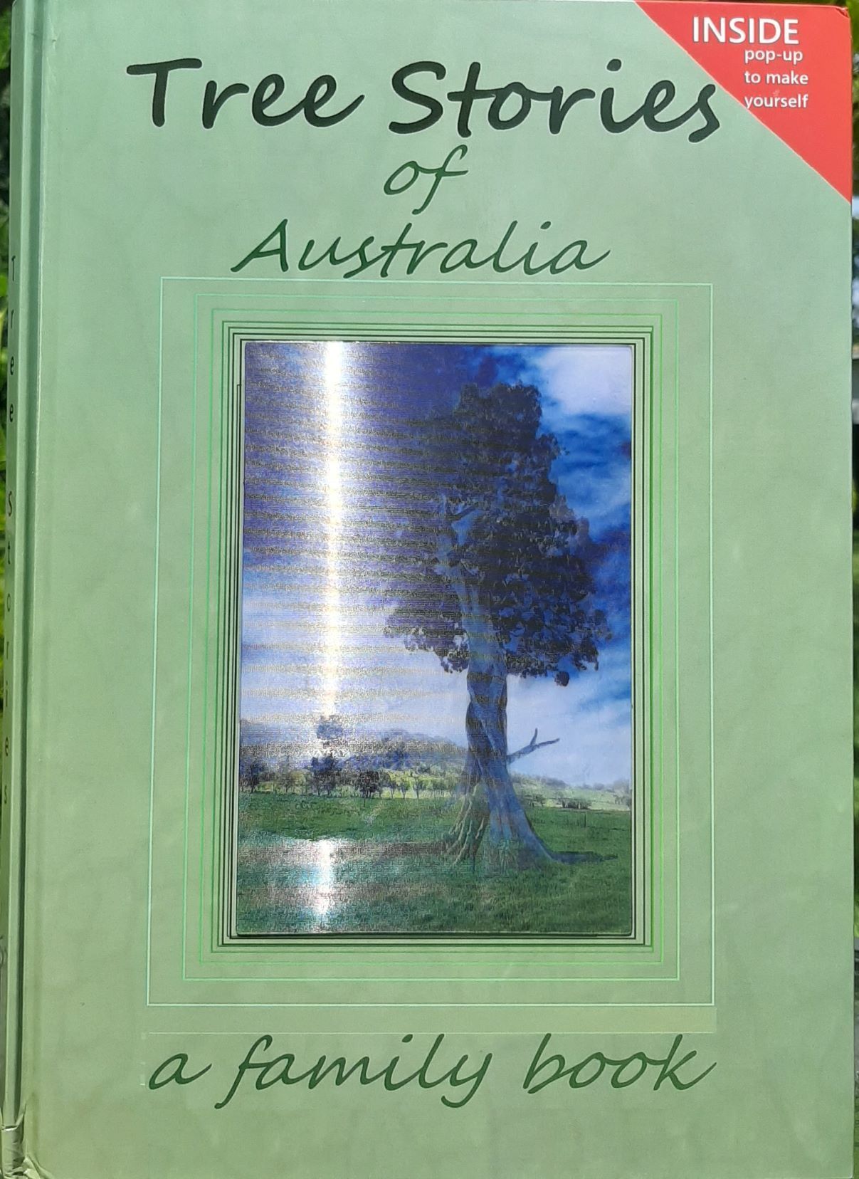 Spirit of Trees Science Symbiosis and Inspiration