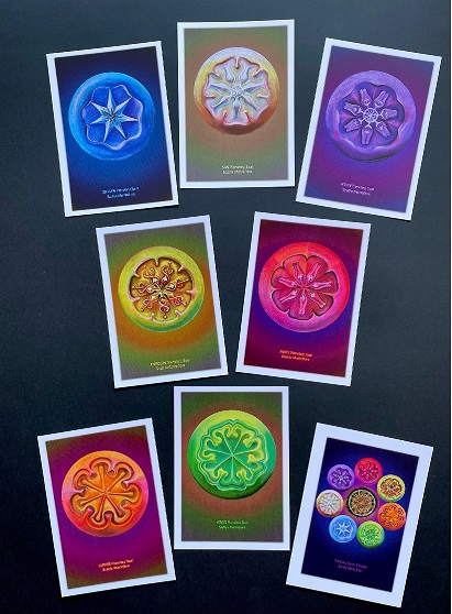A4 Poster of Planetary Seals Set of 10